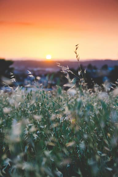 What Time Is Sunset? | SUNSET TIME - Check Sunrise and Sunset Times